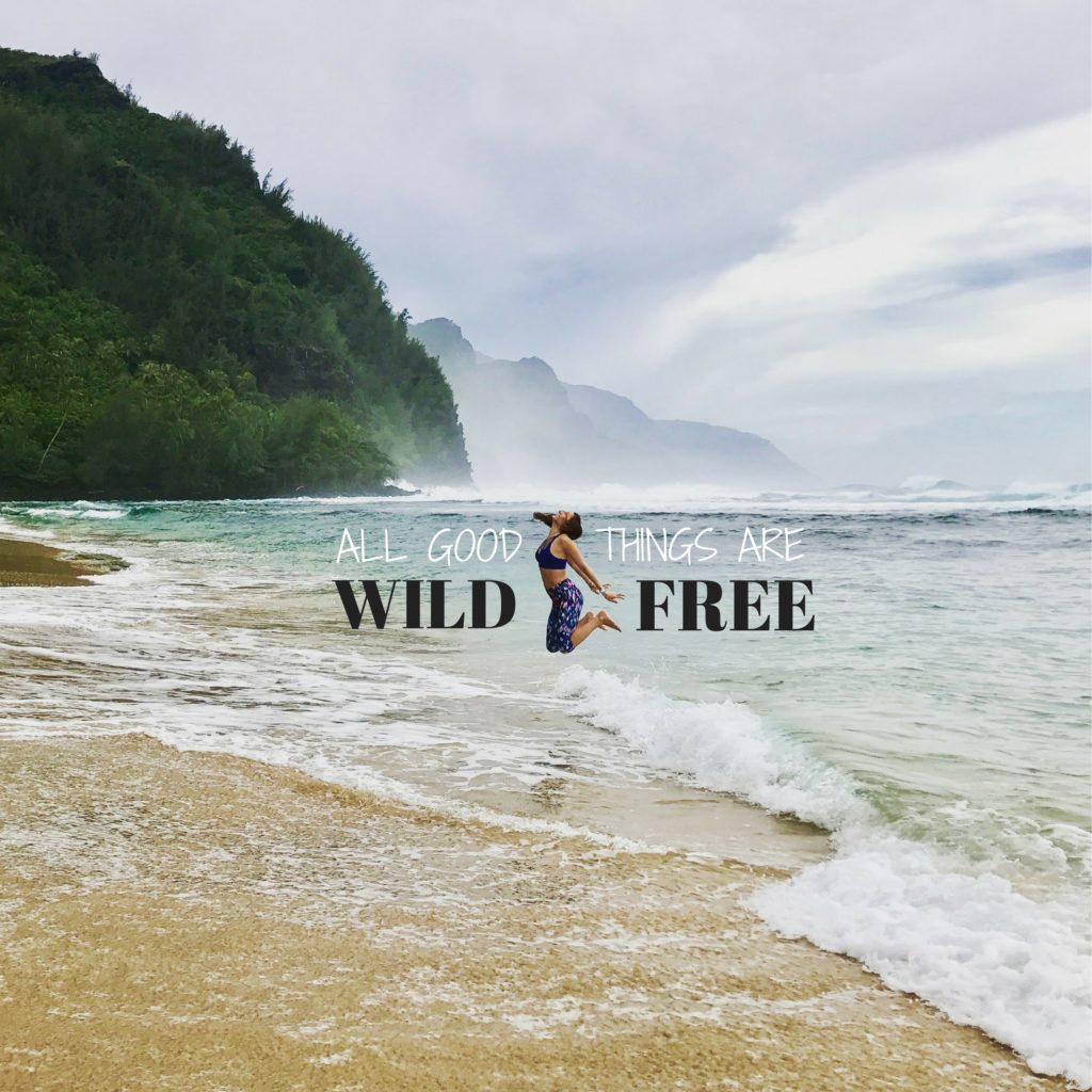 B Wild & Free