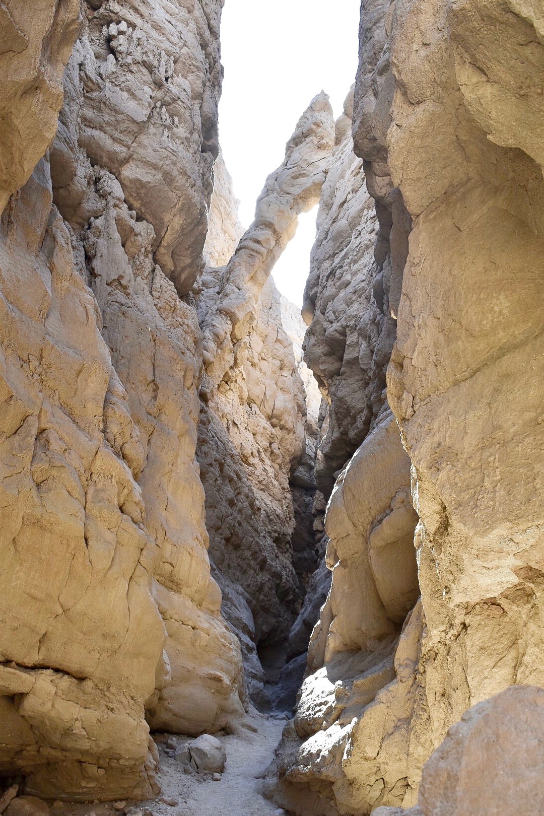 Visiting Slot Canyon in Anza Borrego State Park • B Wild & Free